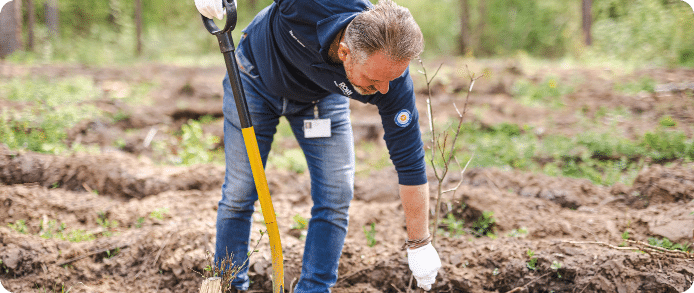 Operation Clean Sweep - Rosti