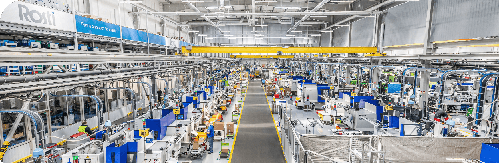 Our NPI Process - Rosti