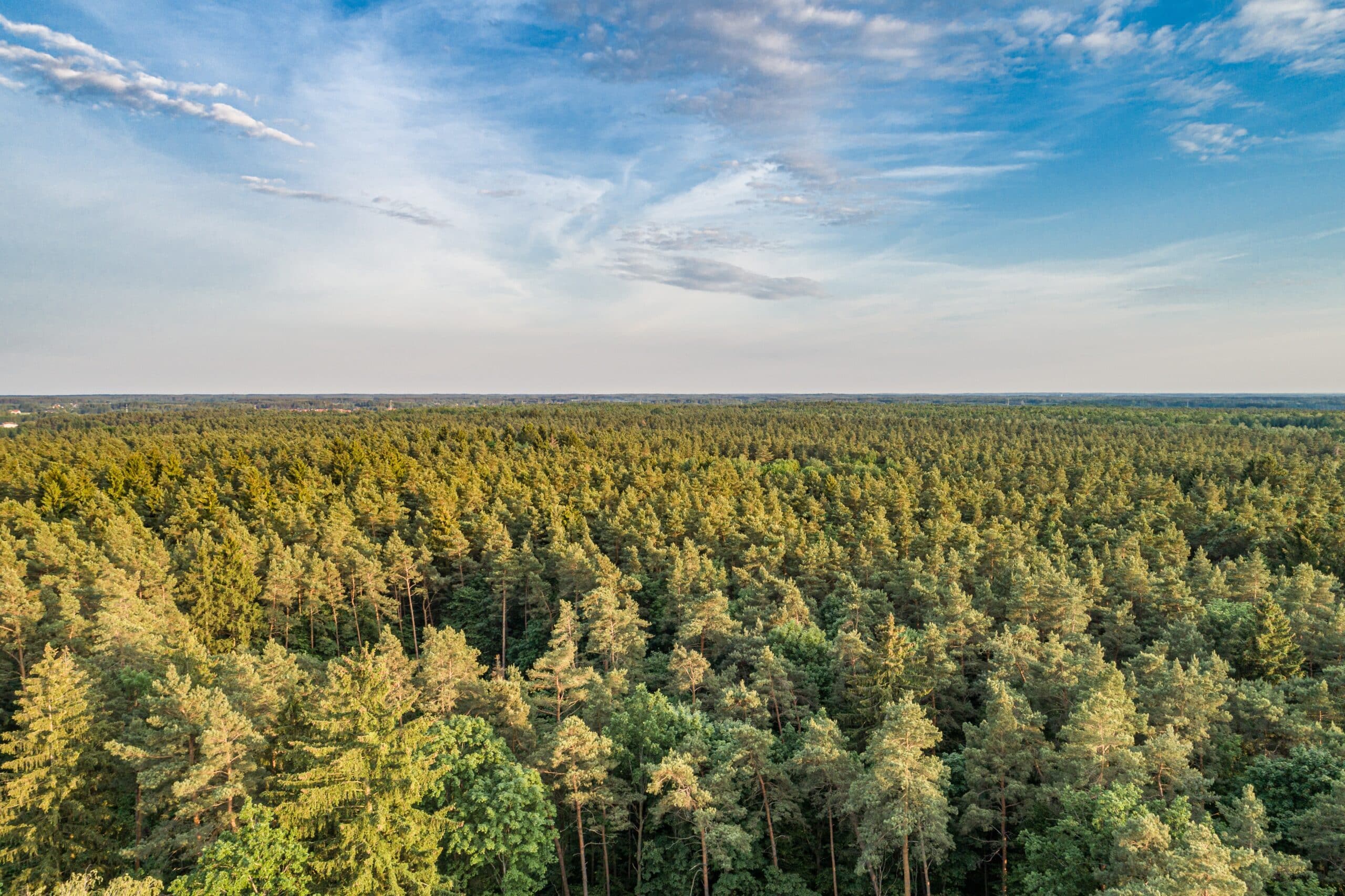 Rosti Deutschland - Rosti